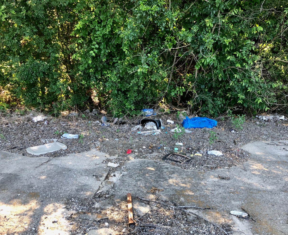 June 11, 2020 – Alan Baylock